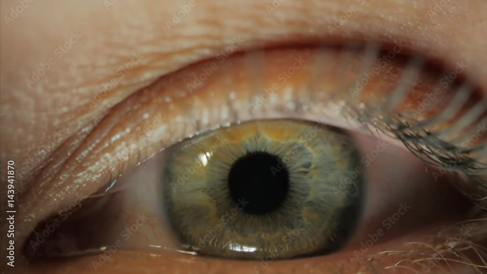 Extreme close up human eye iris in 4K UHD video. Human eye iris ...