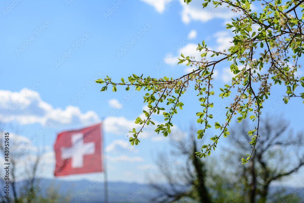 Schweizer Fahne im Hintergrund Stock Photo | Adobe Stock