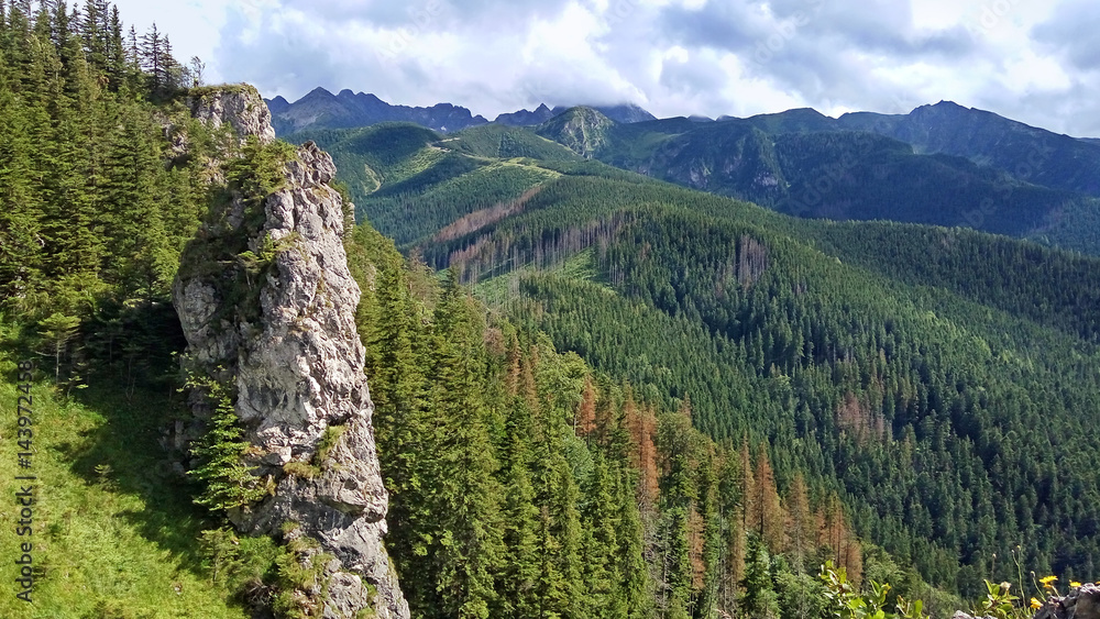 View From Cliffs Mountains Forest