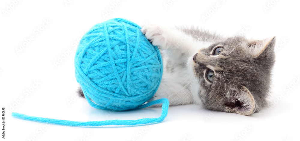 Cat with ball of yarn Stock Photo | Adobe Stock