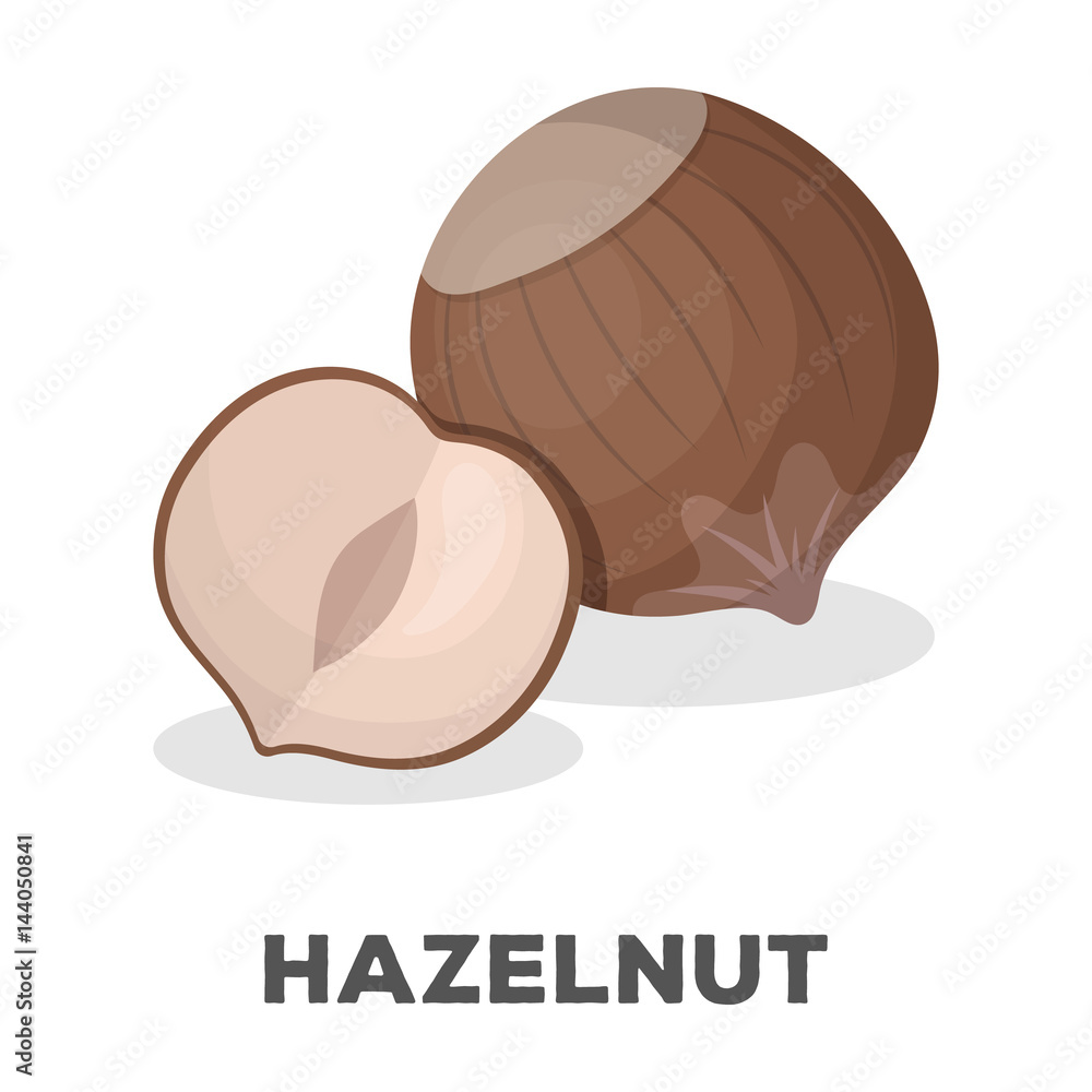 Hazelnuts in shell.Different kinds of nuts single icon in cartoon style ...