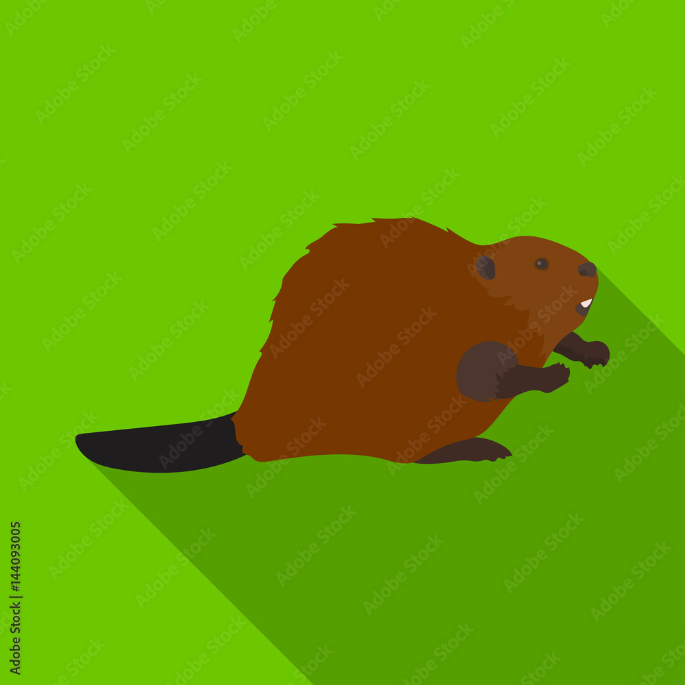 Canadian Symbols Beaver