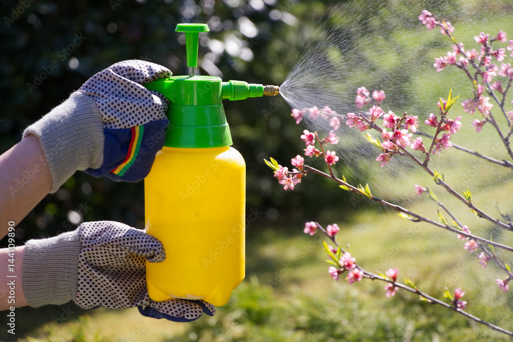 Hand Sprayer For Pesticides