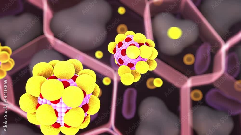 Video Stock field of fat cells, High quality 3d render of fat cells ...