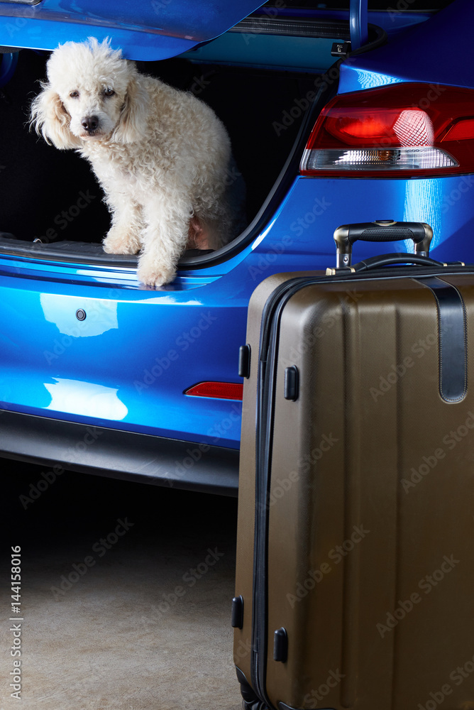 Packing Luggage In Car