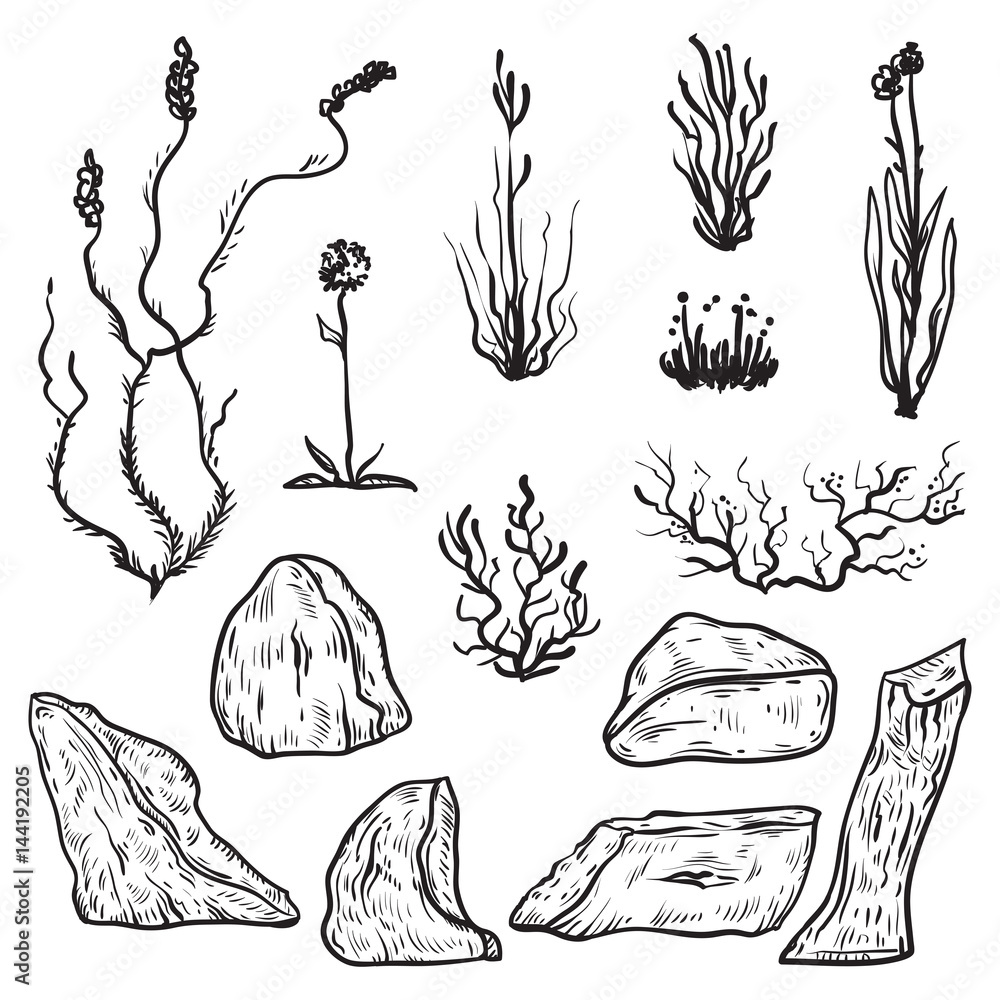 North tundra plants and icebergs. Black and white design elements in ...