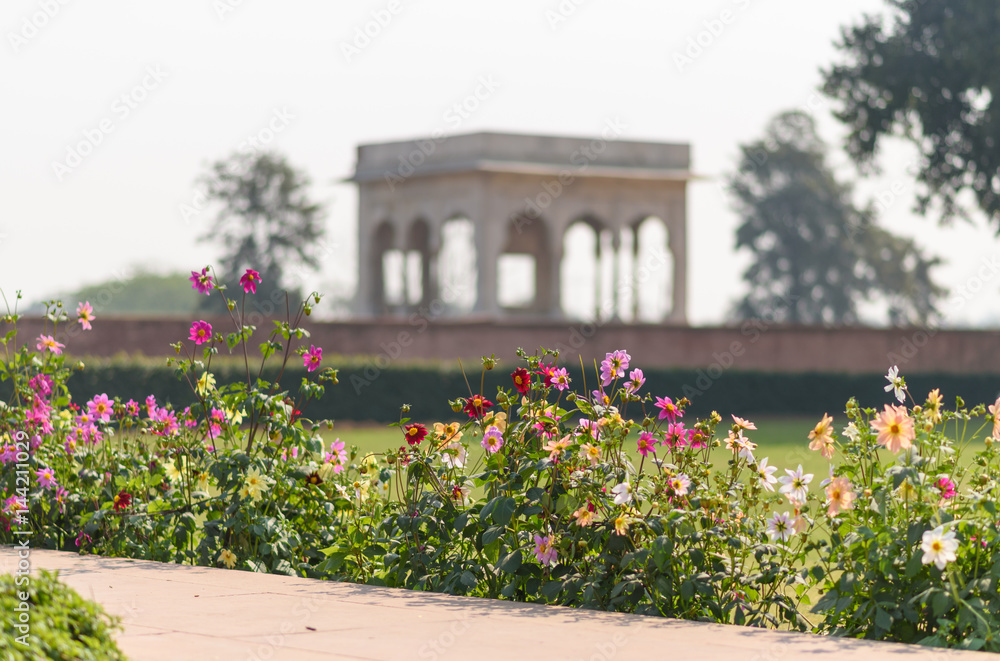Flowers in the Mugal Garden of the Red Fort in Old Delhi, India Stock ...