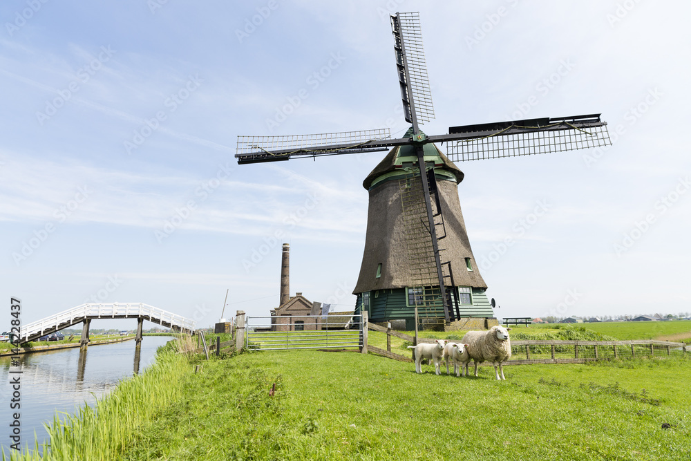 Dutch windmill on Farmland, Holland, Netherlands Stock Photo | Adobe Stock