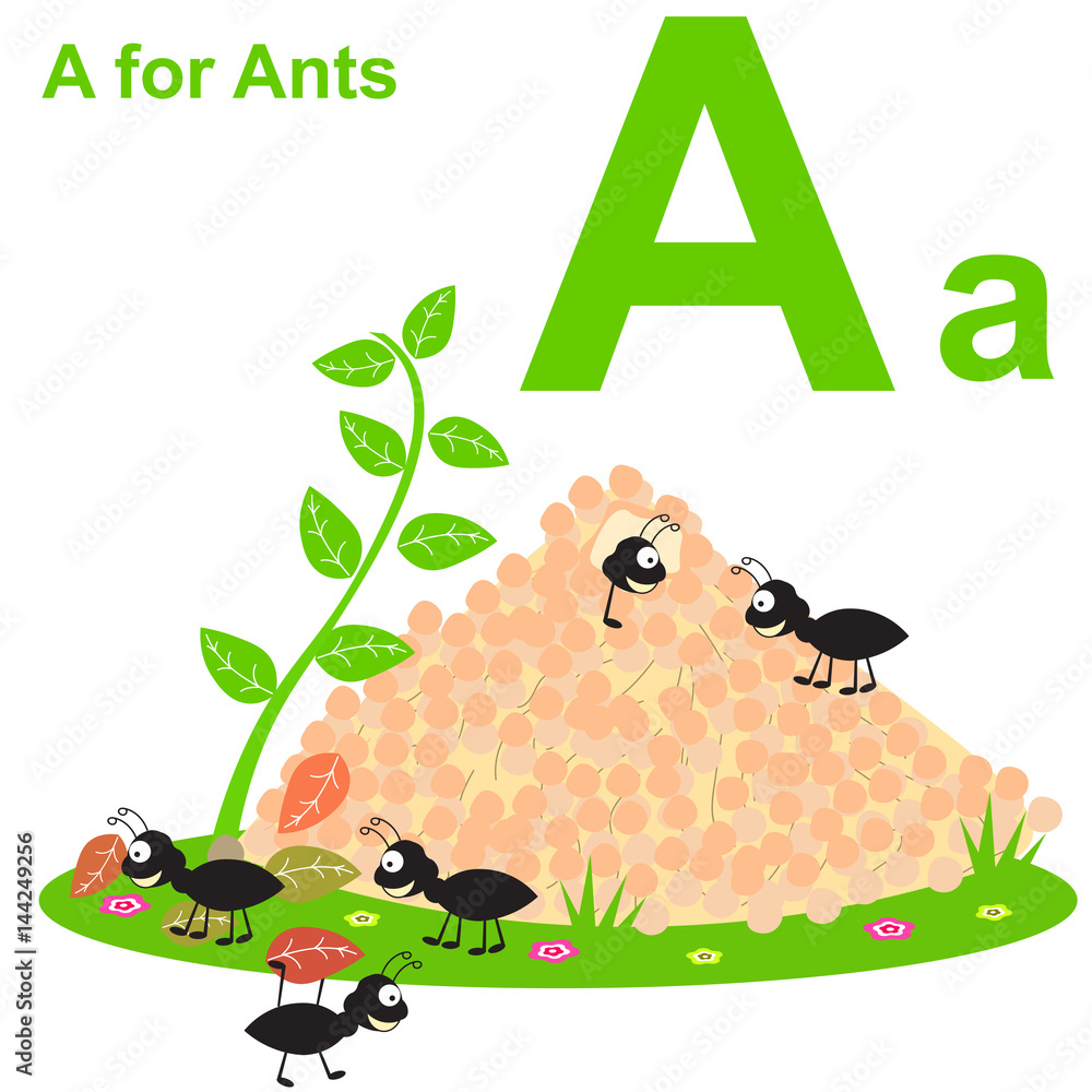 a for ants alphabet vector de Stock | Adobe Stock