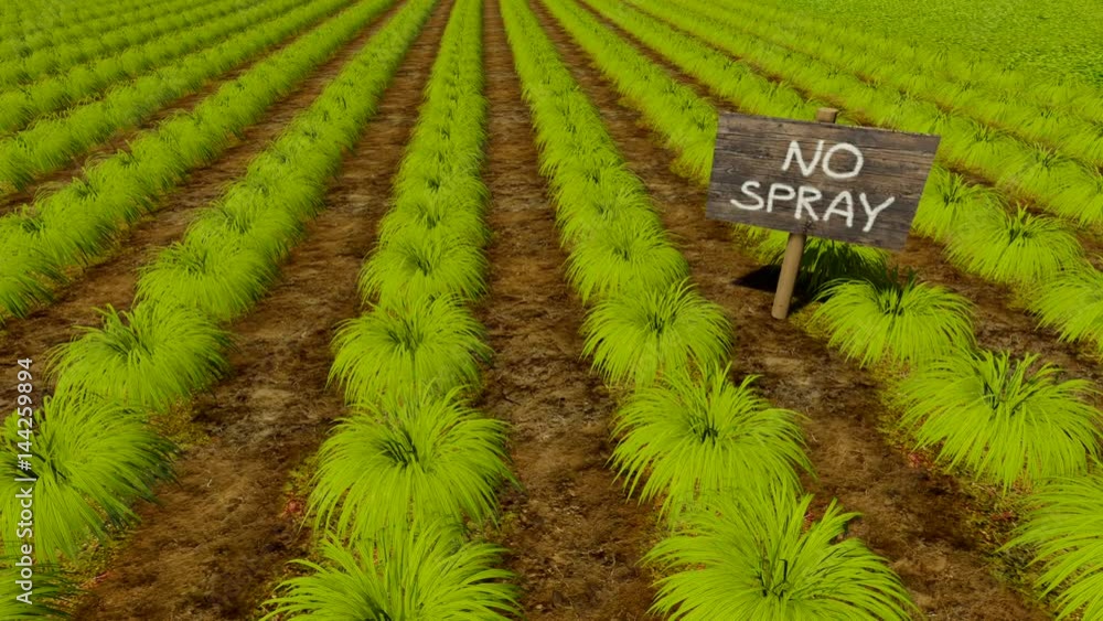 Wooden sign "No Spray" among fresh green beds of chemical free ...