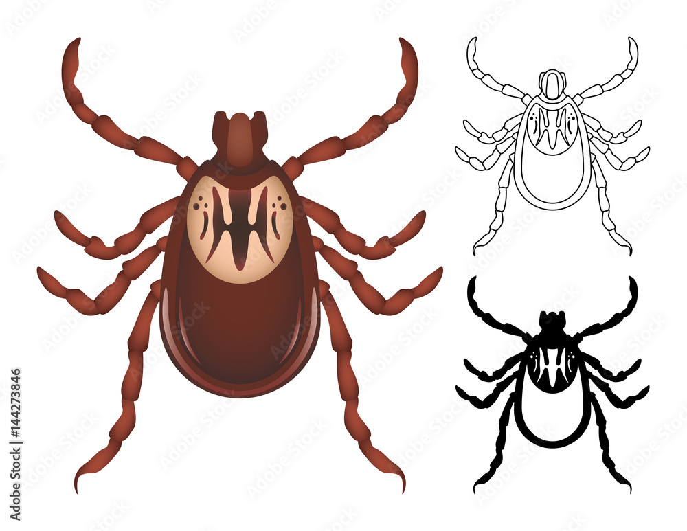 Tick Stock Vector | Adobe Stock