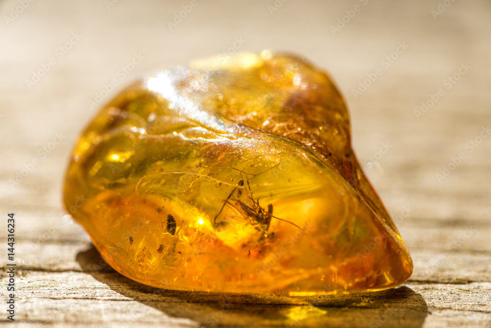 Bernstein mit Insekt Stock Photo | Adobe Stock