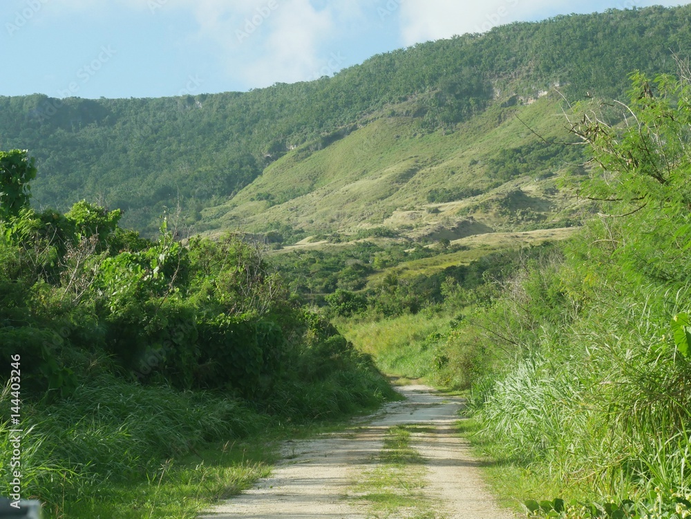 Lush green of Savannah Mountain, Rota Driving through the rugged roads ...