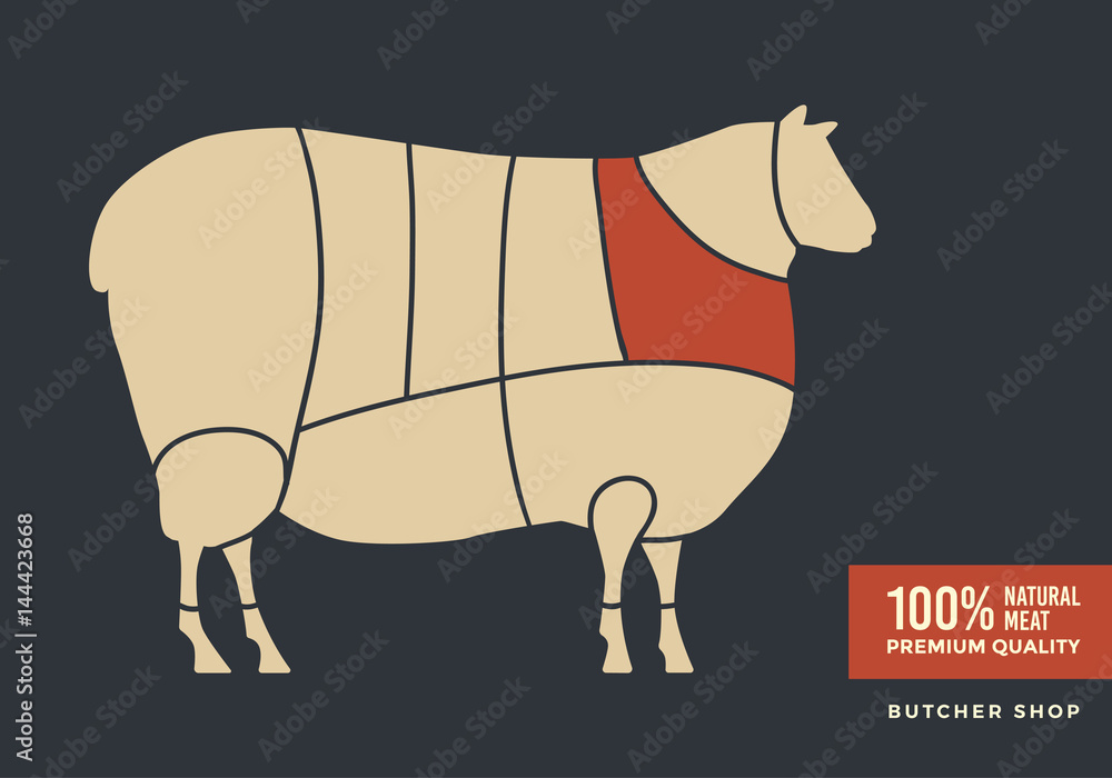 Cuts of lamb. Poster for butcher shop, farmer market. Vector ...