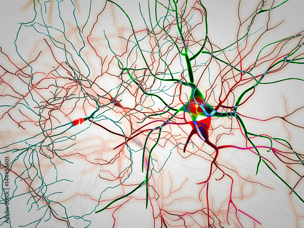 Cervello, neuroni, sinapsi, rete neurale, circuito di neuroni, malattie ...