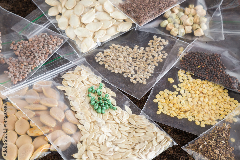 Packets of different seeds. Planting time. Early spring preparations ...