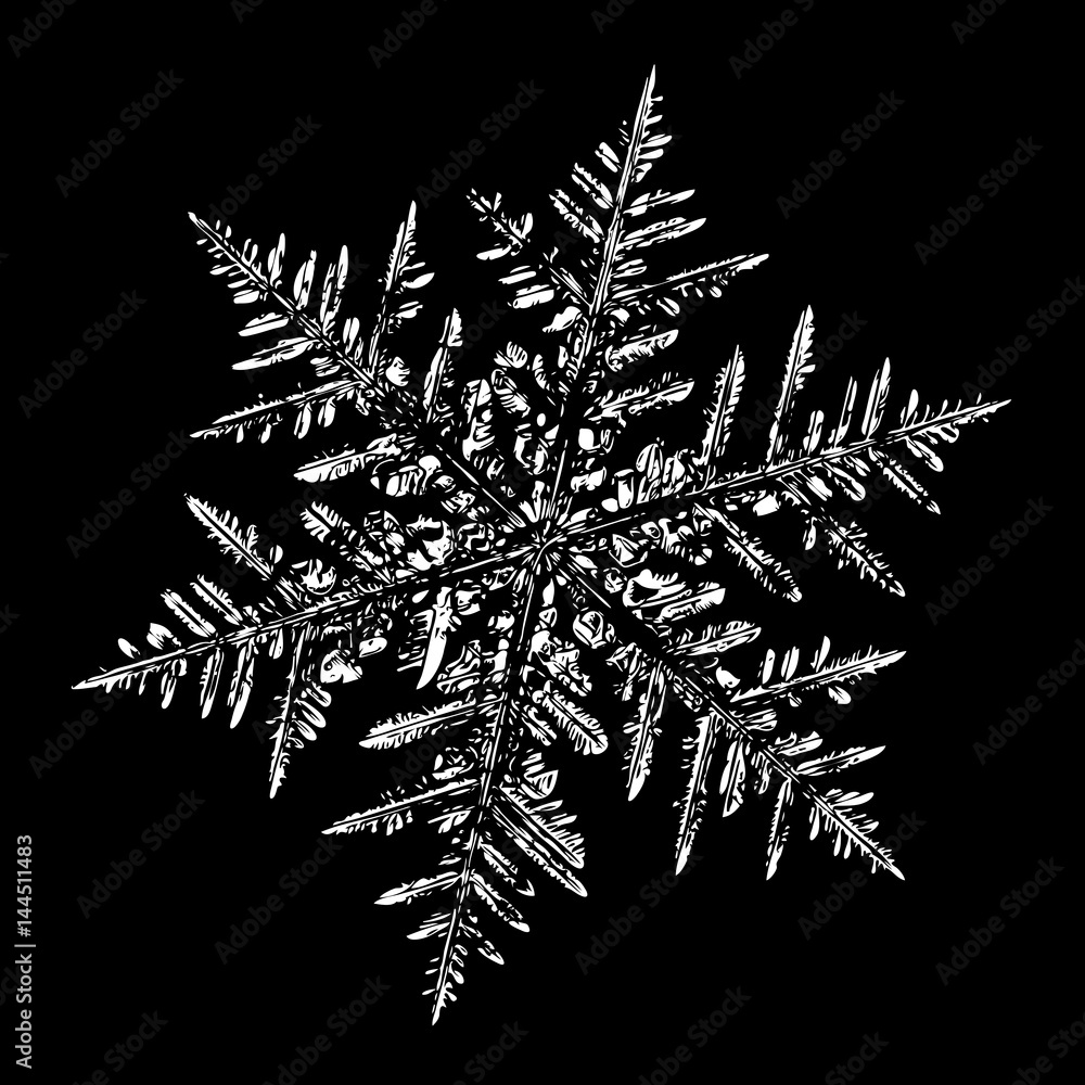 Snowflake Black And White