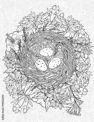 Nest With Eggs Coloring Page