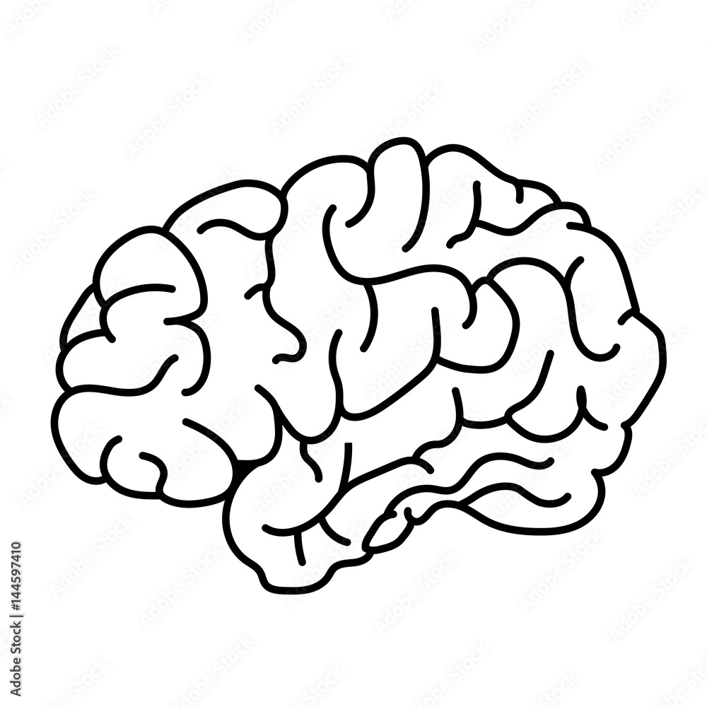 Brain Drawing Side View