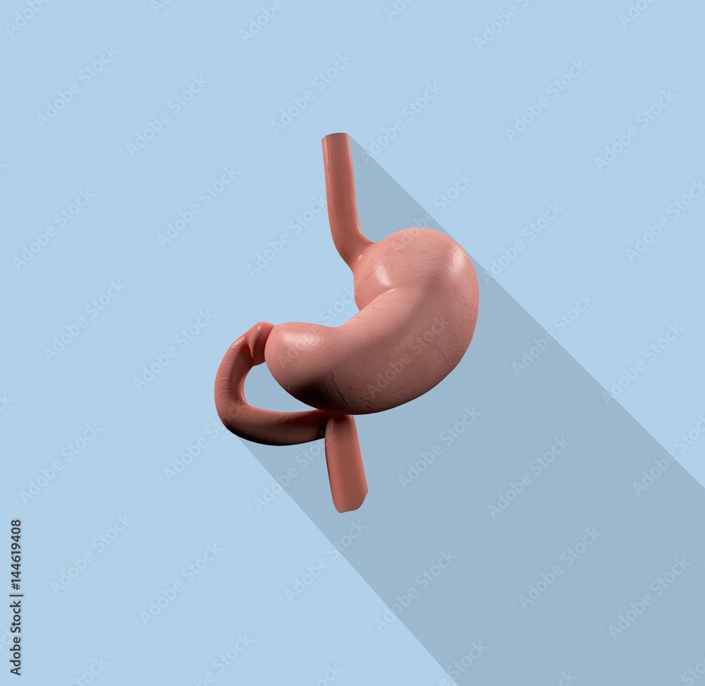 Stomach infographic. Anatomical icon of stomach on blue background.3d ...