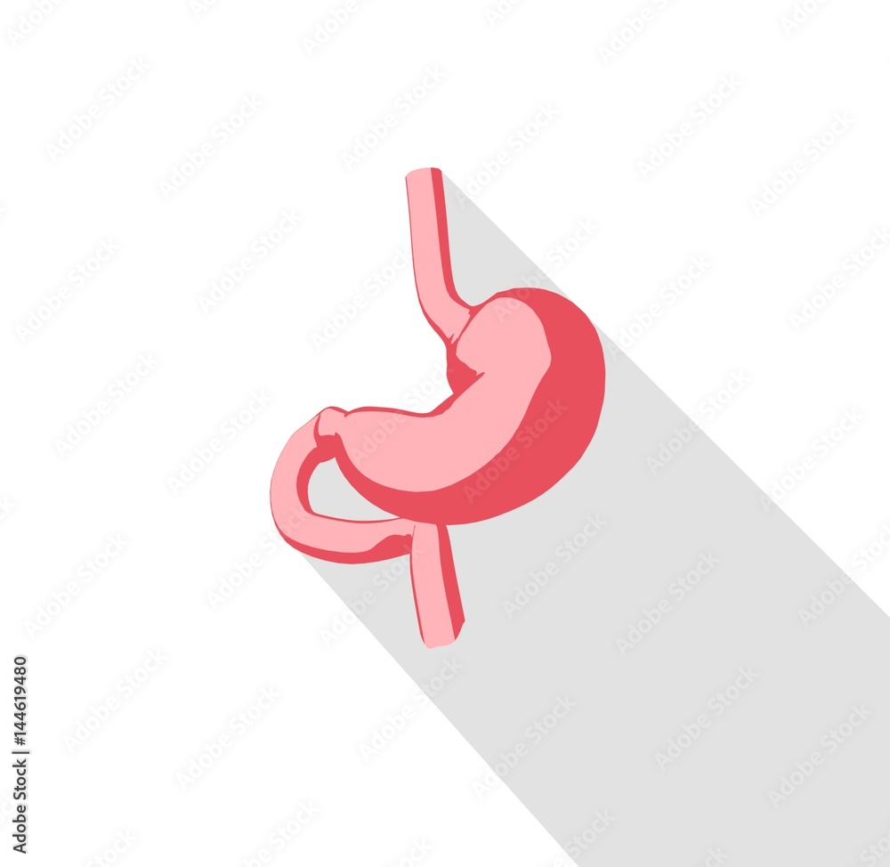 Stomach infographic. Anatomical icon of stomach on white background ...