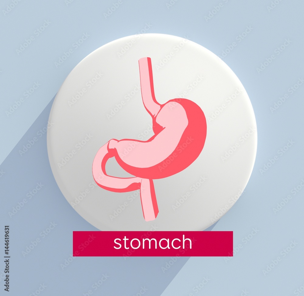 Stomach infographic with title "stomach". Anatomical icon of stomach on ...