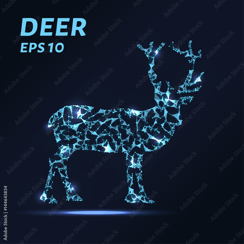 The deer consists of points, lines and triangles. The polygon shape in ...