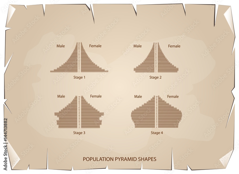 Four Types of Population Pyramids on Old Paper Background Stock Vector ...