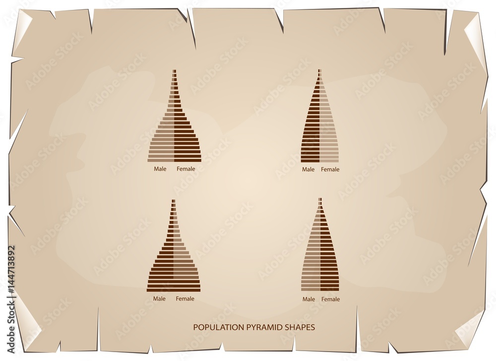 The 4 Types of Population Pyramids Graphs Stock Vector | Adobe Stock