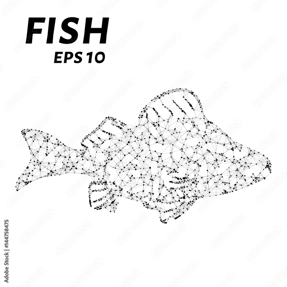 Fish consists of points, lines and triangles. The polygon shape in the ...