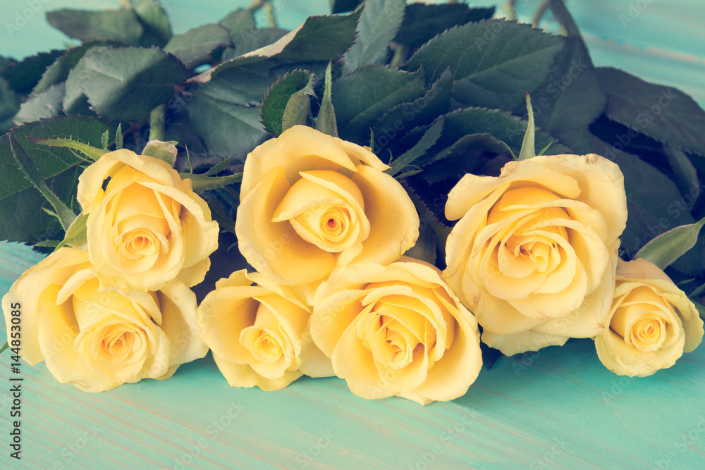 Pastel color of rose flowers Stock Photo | Adobe Stock