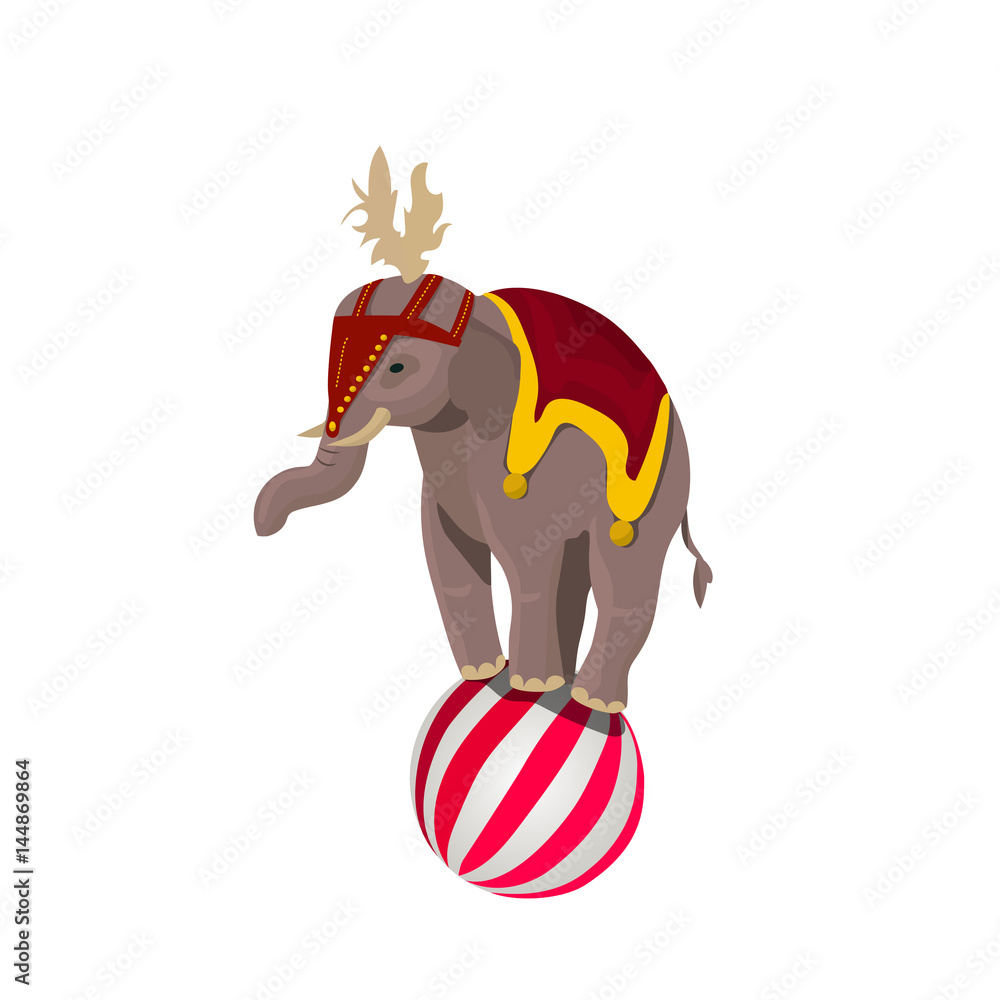 Circus Elephant On Ball