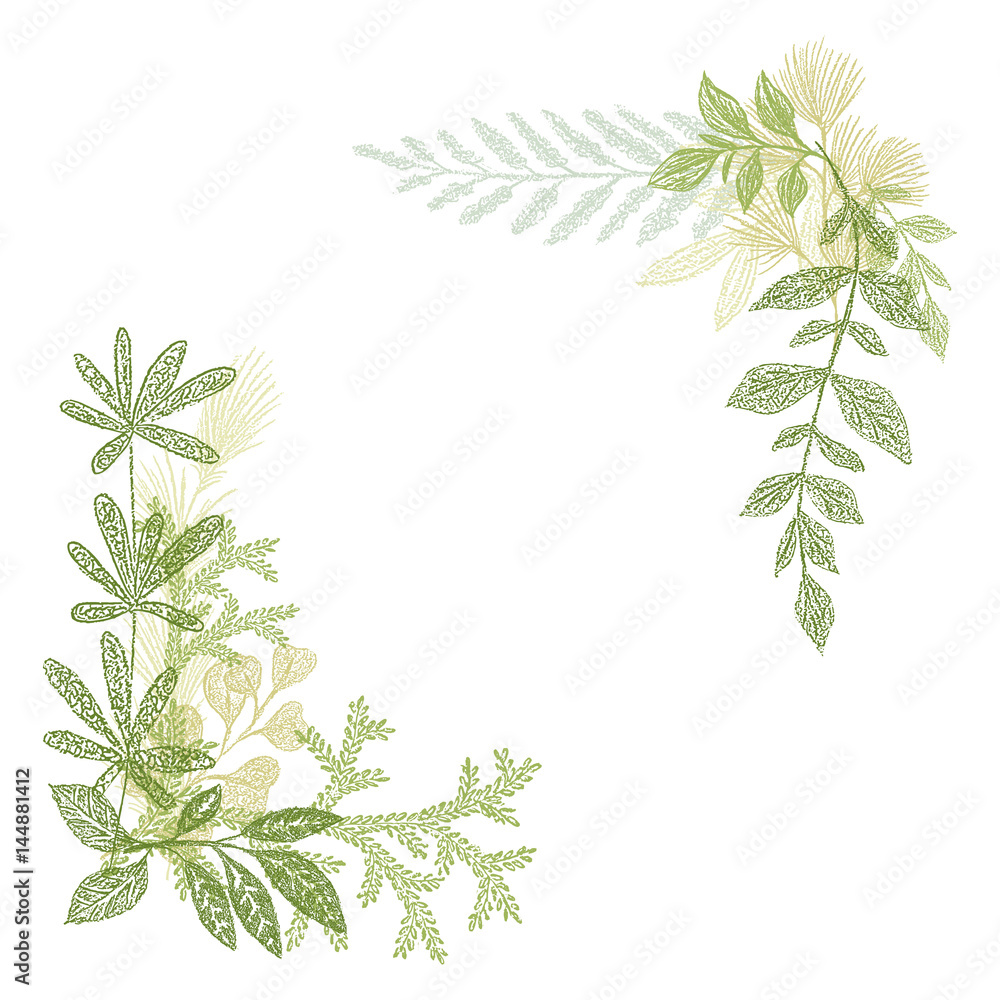 Floral hand drawing, green leaf composition. Vector greenery branches ...
