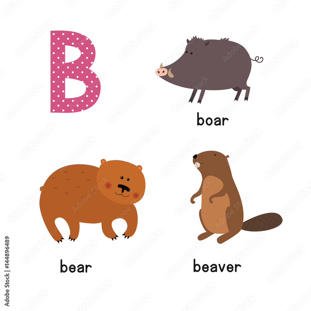 Cute zoo alphabet in vector.B letter. Funny cartoon animals: Bear ...