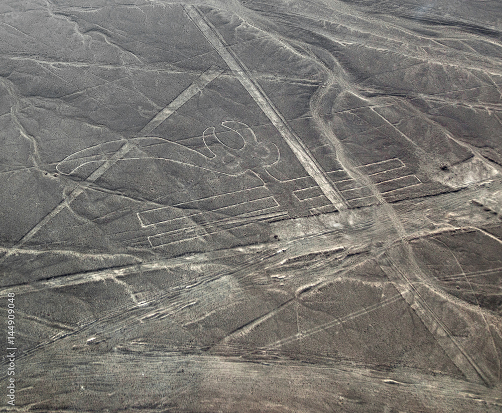 Nazca lines - Parrot. Lines and Geoglyphs in the Nazca desert. It is a ...