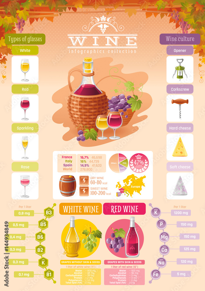 Wine infographic icons. Vector alcohol drink icon set, isolated ...