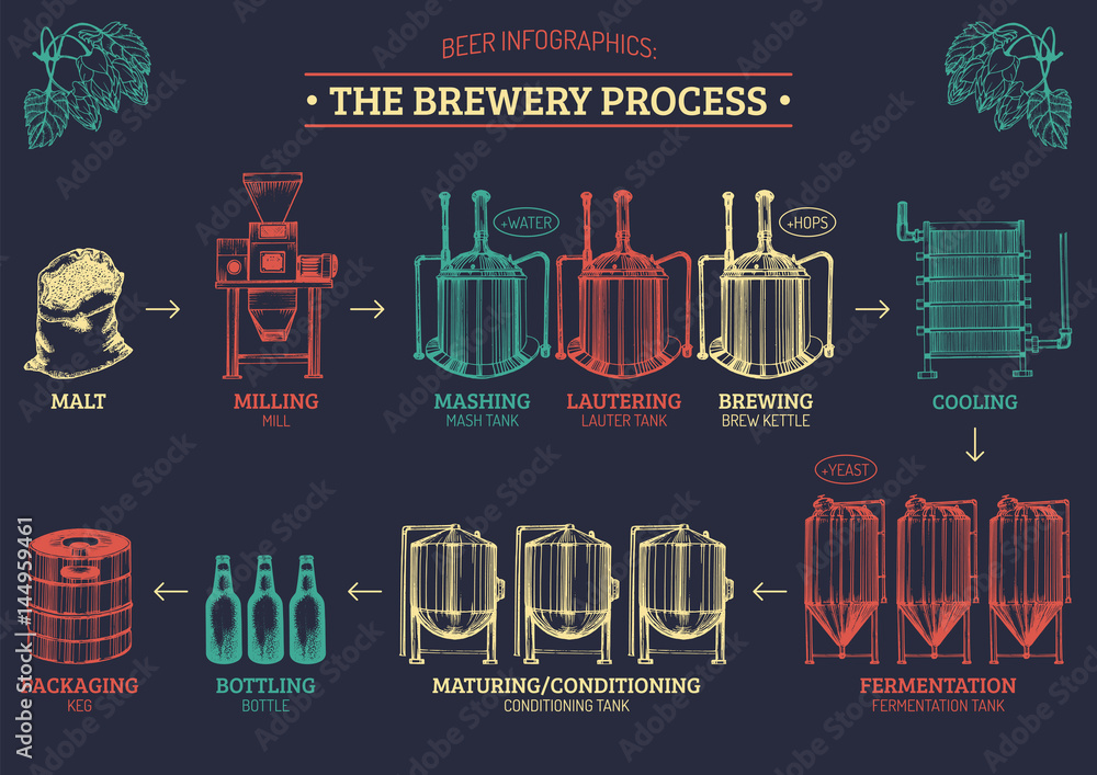 Vector beer infographics with illustrations of brewery process.Sketched ...