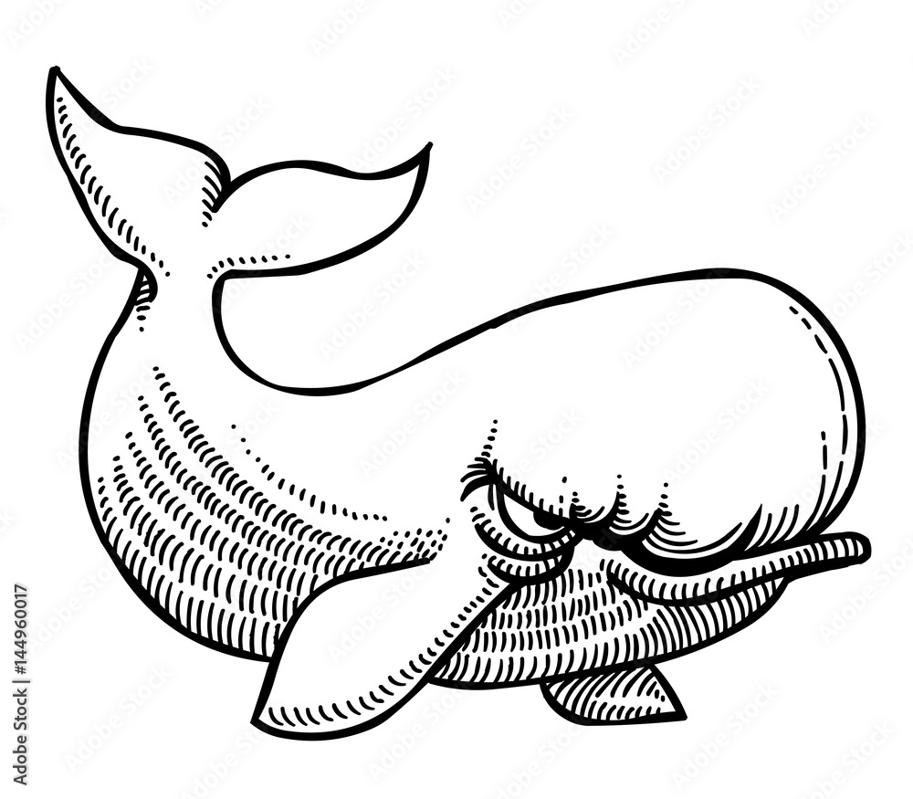 Cartoon image of angry whale. An artistic freehand picture. Stock ...