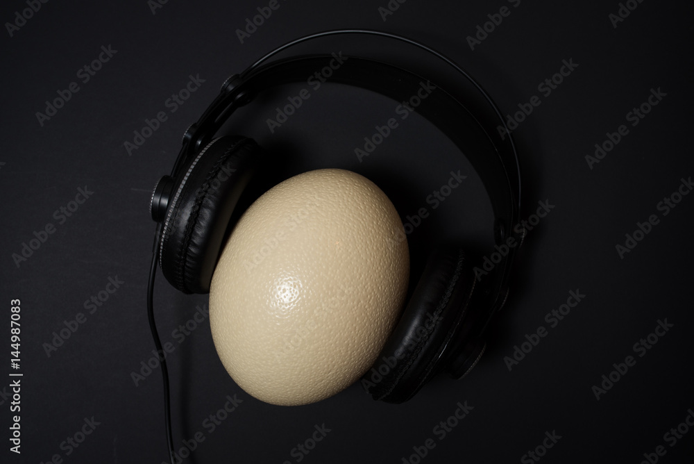 Ostrich egg in headphones Stock Photo | Adobe Stock
