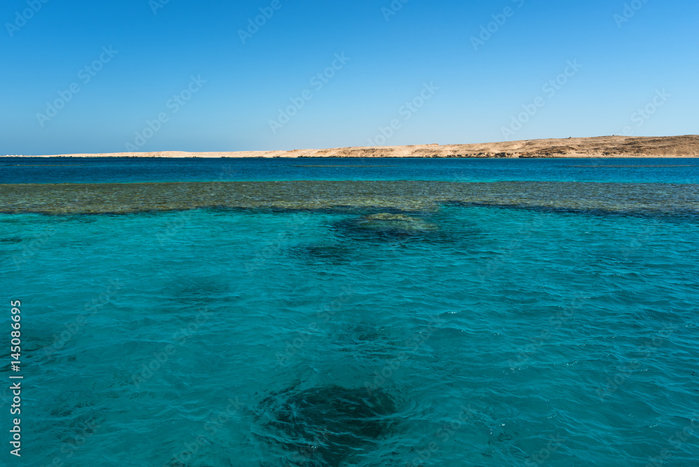 Coral sea for snorkeling or scuba diving in summer. Summer vacation in ...