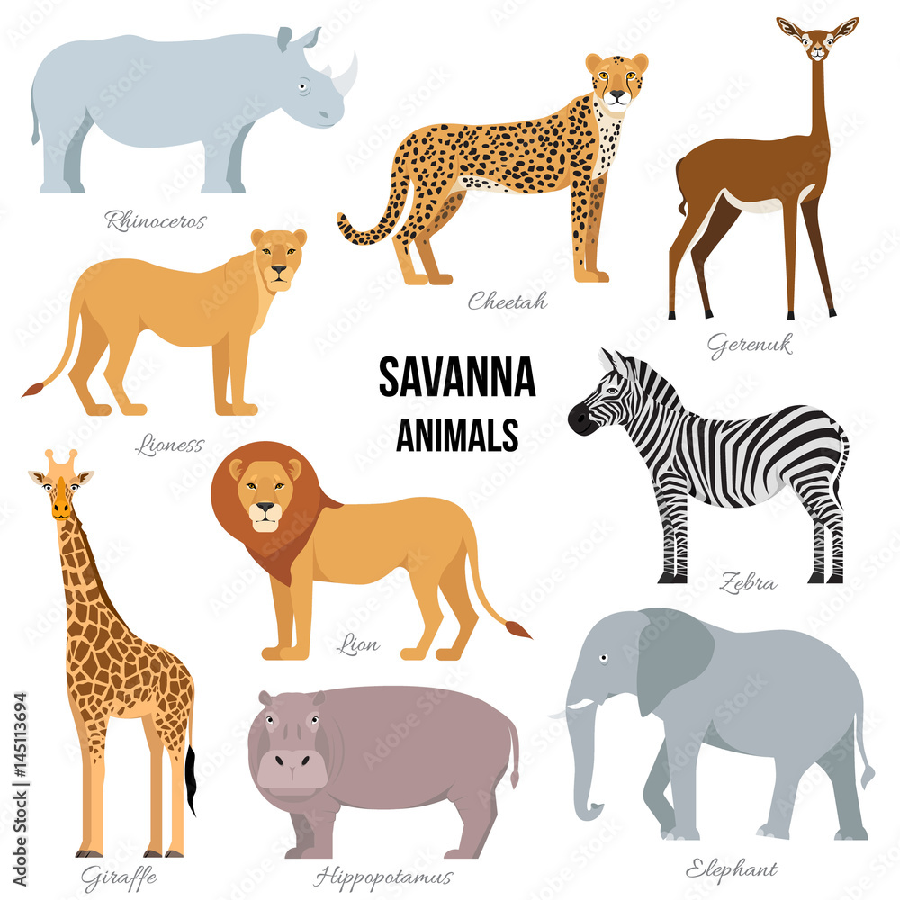 African animals of savanna elephant, rhino, giraffe, cheetah, zebra ...