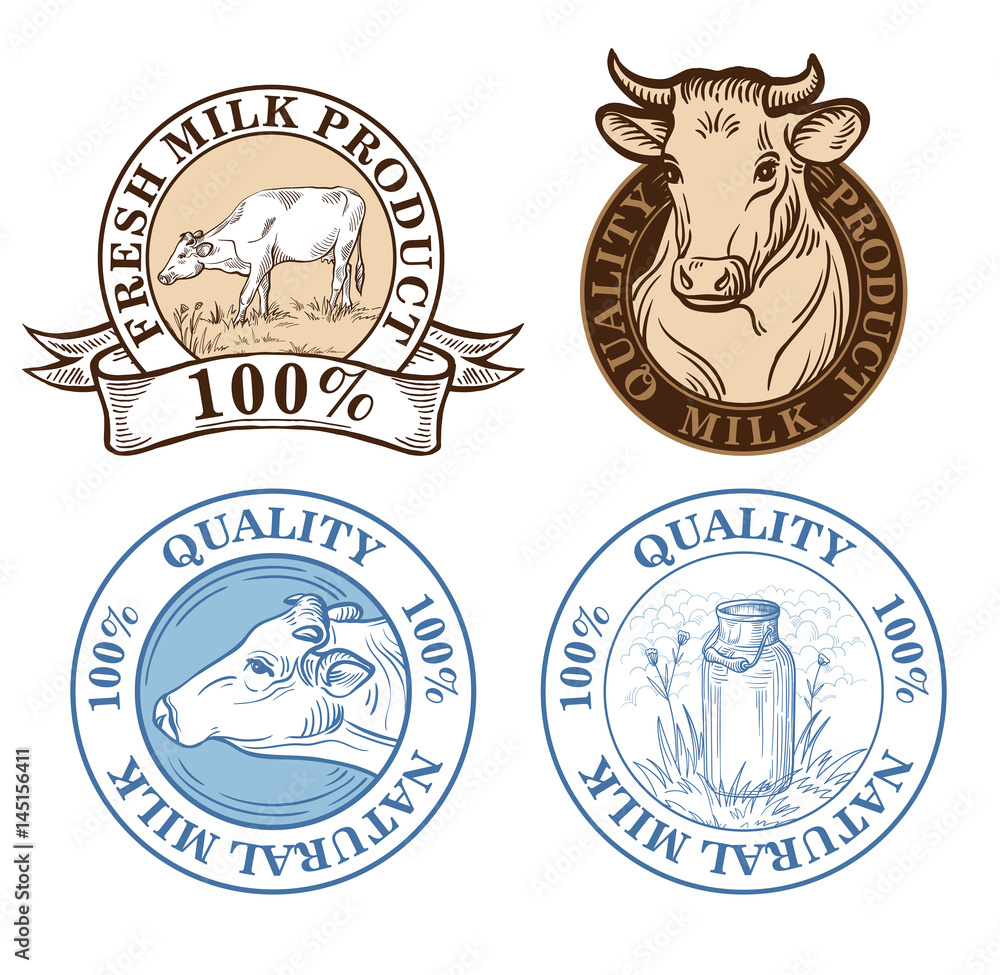 Set of vector an dairy cows label on white background sketch drawing ...