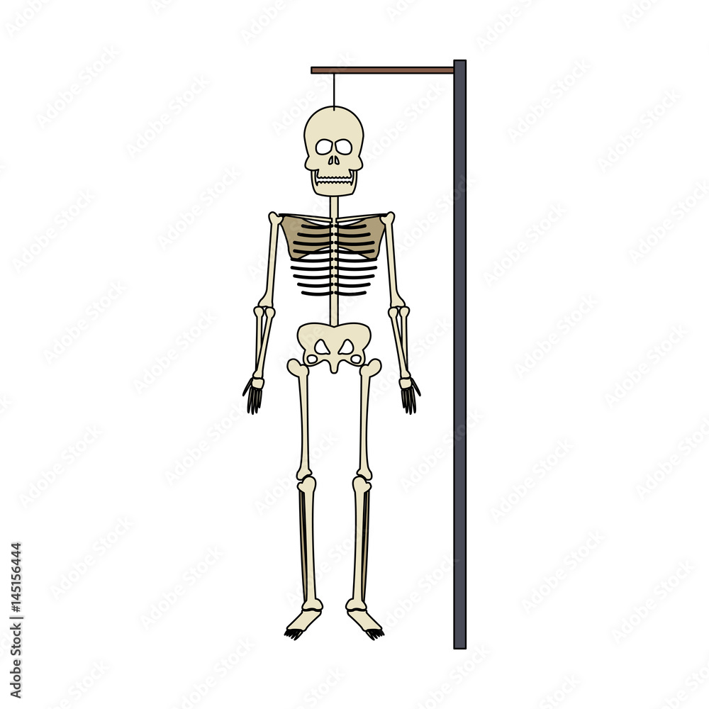 human skeleton icon image vector illustration design Stock Vector ...