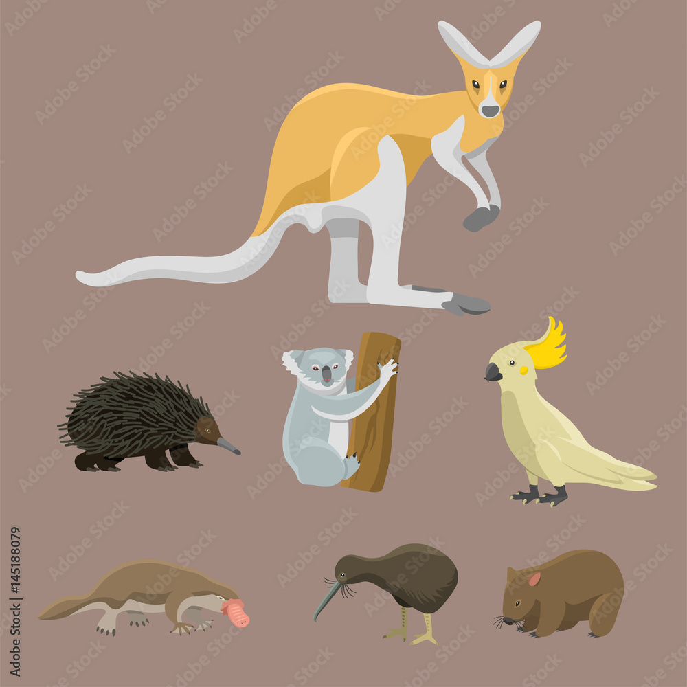 Australia wild animals cartoon popular nature characters flat style ...