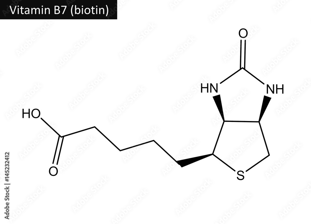 Molecular structure of biotin (vitamin B7) Stock Illustration | Adobe Stock
