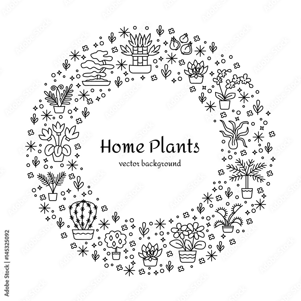 House plants concept for garden center, flower & florist shop. Can be ...