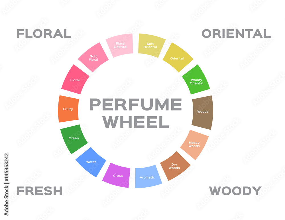 perfume wheel vector Stock Vector | Adobe Stock