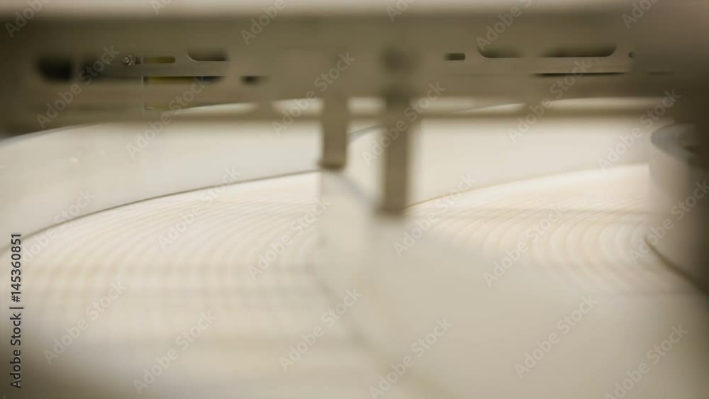 Fish Processing Plant. Pieces of Salmon Monving on Two Line Conveyer ...