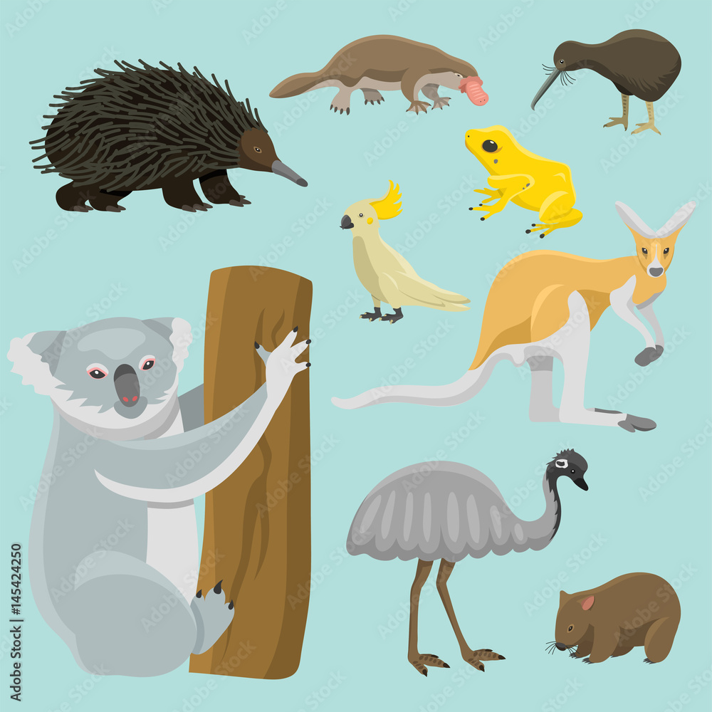 Australia wild animals cartoon popular nature characters flat style ...