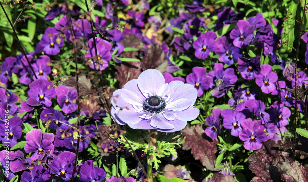 Buga 2015 Rathenow Stock Photo | Adobe Stock